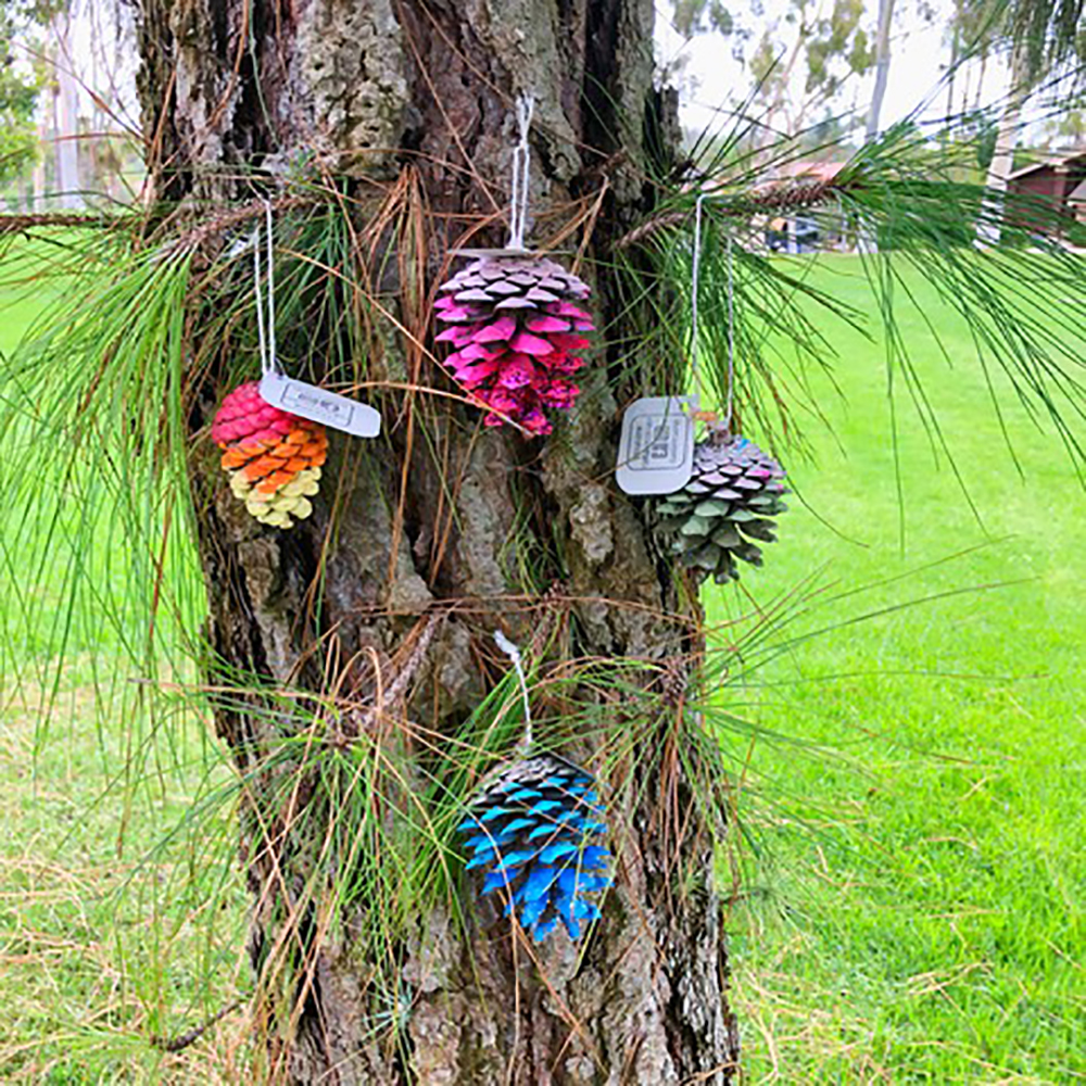 Colorful Painted Pinecones
